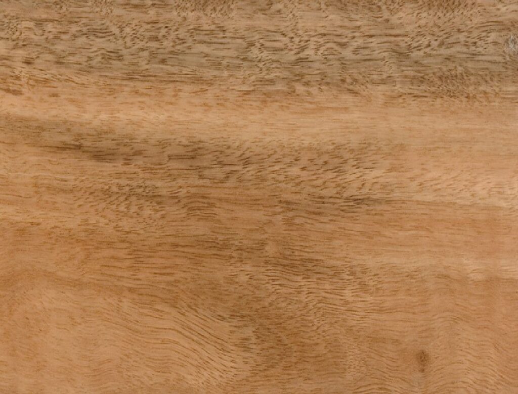 Spotted Gum - Solid Timber Top