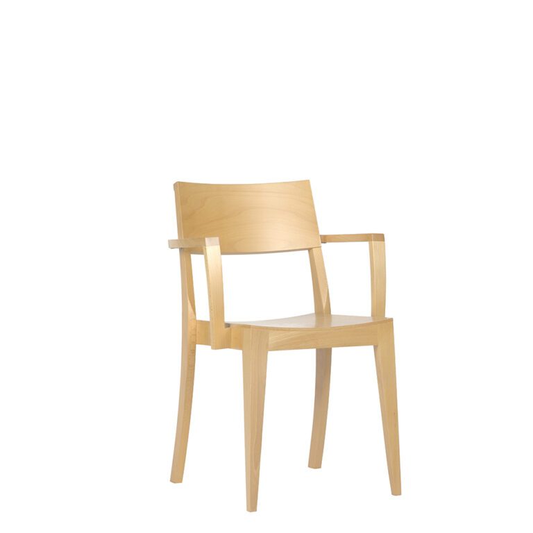 Apollo Arm Chair